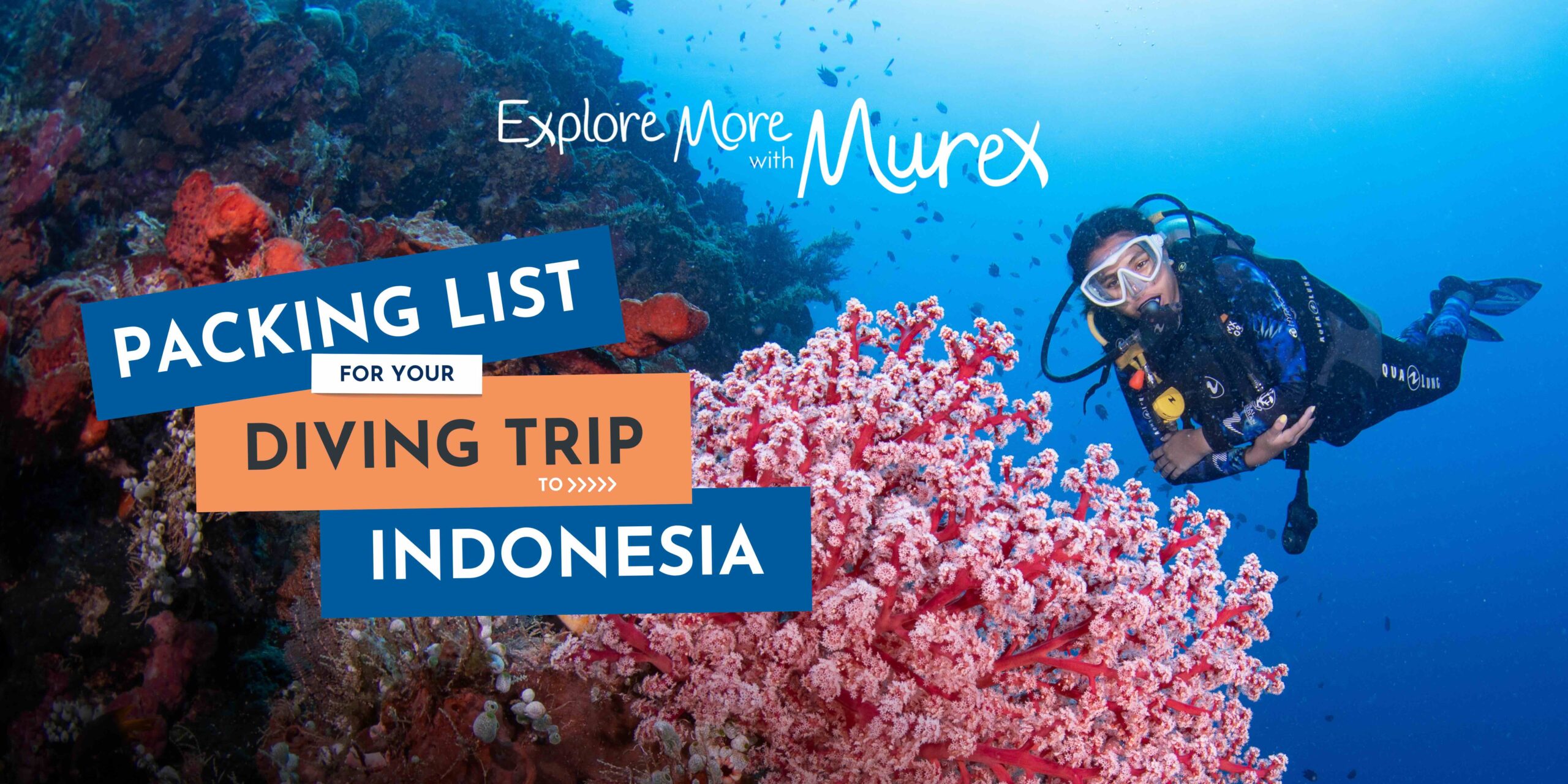 Packing List for Your Diving Trip to Indonesia - Murex Resorts